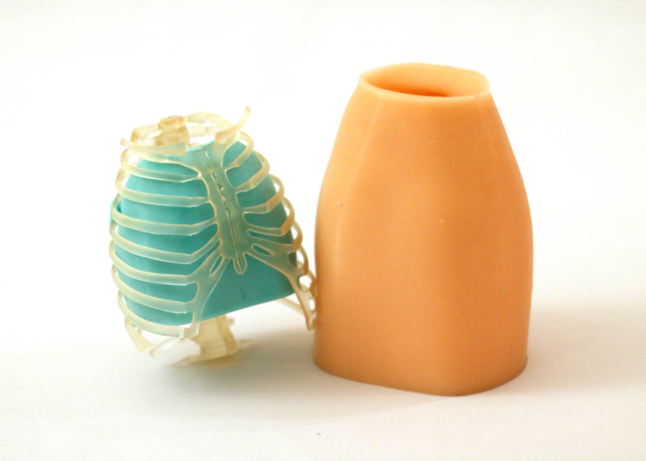 Neonatal Ribcage by slabmakerspace | Download free STL model ...