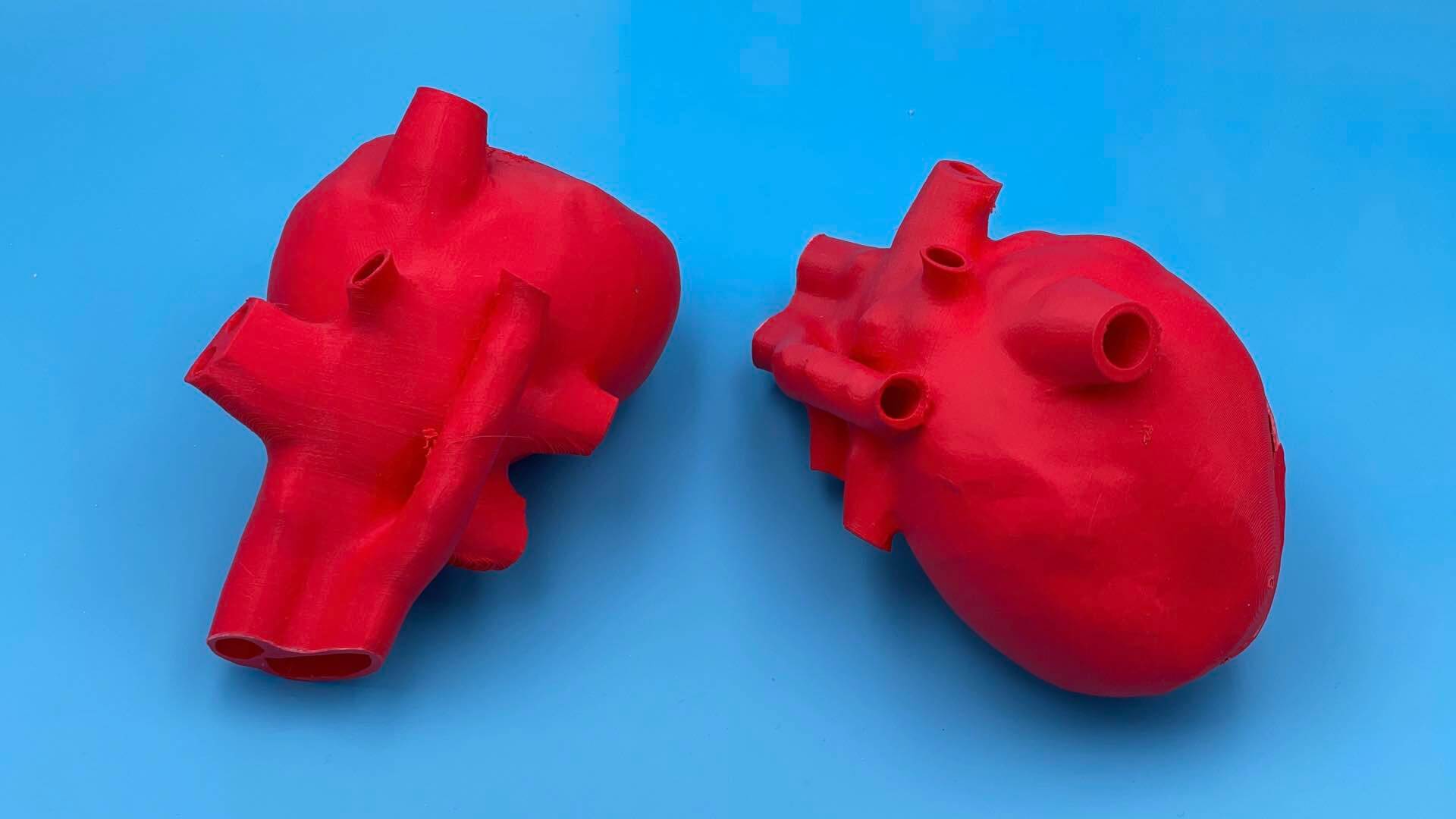 Meet the Makers – Zaina Moussa and Mohamed Hisham Siddeek - UCSF Library