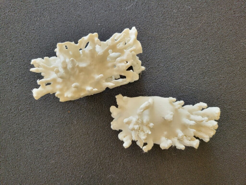 Meet the Maker - Cristal Yee - UCSF Library